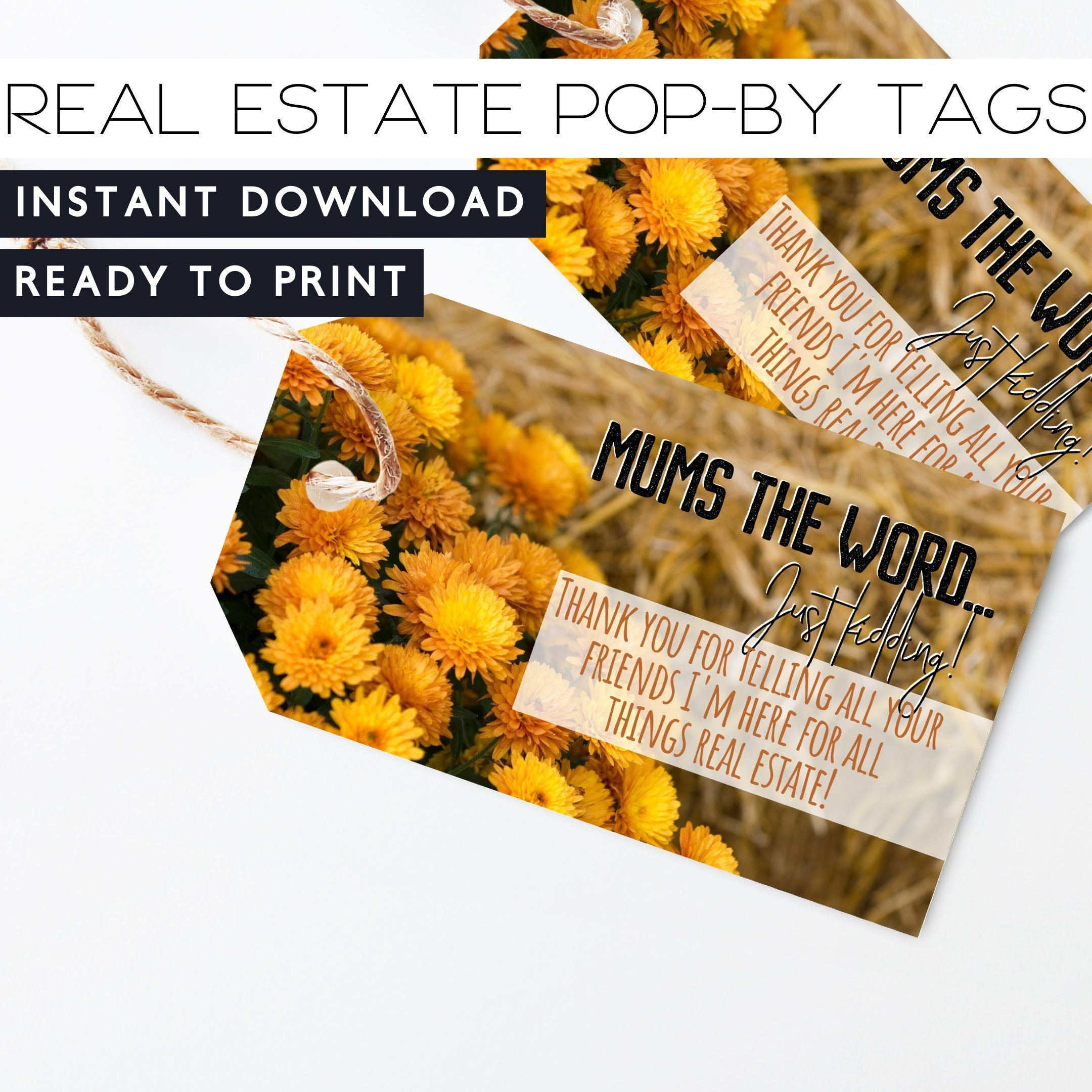 Mums Pop by Tag Fall Plant Plant Pop By Thanksgiving Pop by | Etsy