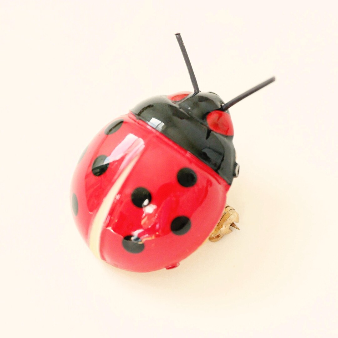 Vintage Plastic Ladybug Brooch, Vintage Ladybird Pin, Old Hard Plastic ...