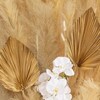 Bleached Lunaria Bundle Dried Floral Decor| Natural Lunaria Flowers ...