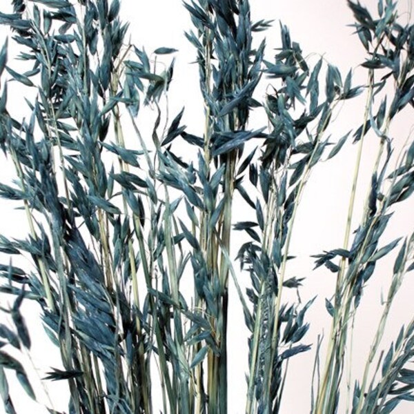 Teal Brown Decor - Etsy