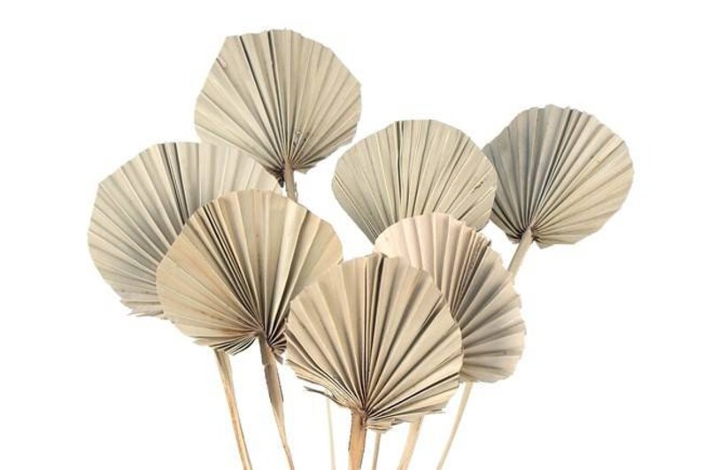 Gold Mini Palm Spear Stems Dried Palm Leaf Cake Topper Diy - Etsy