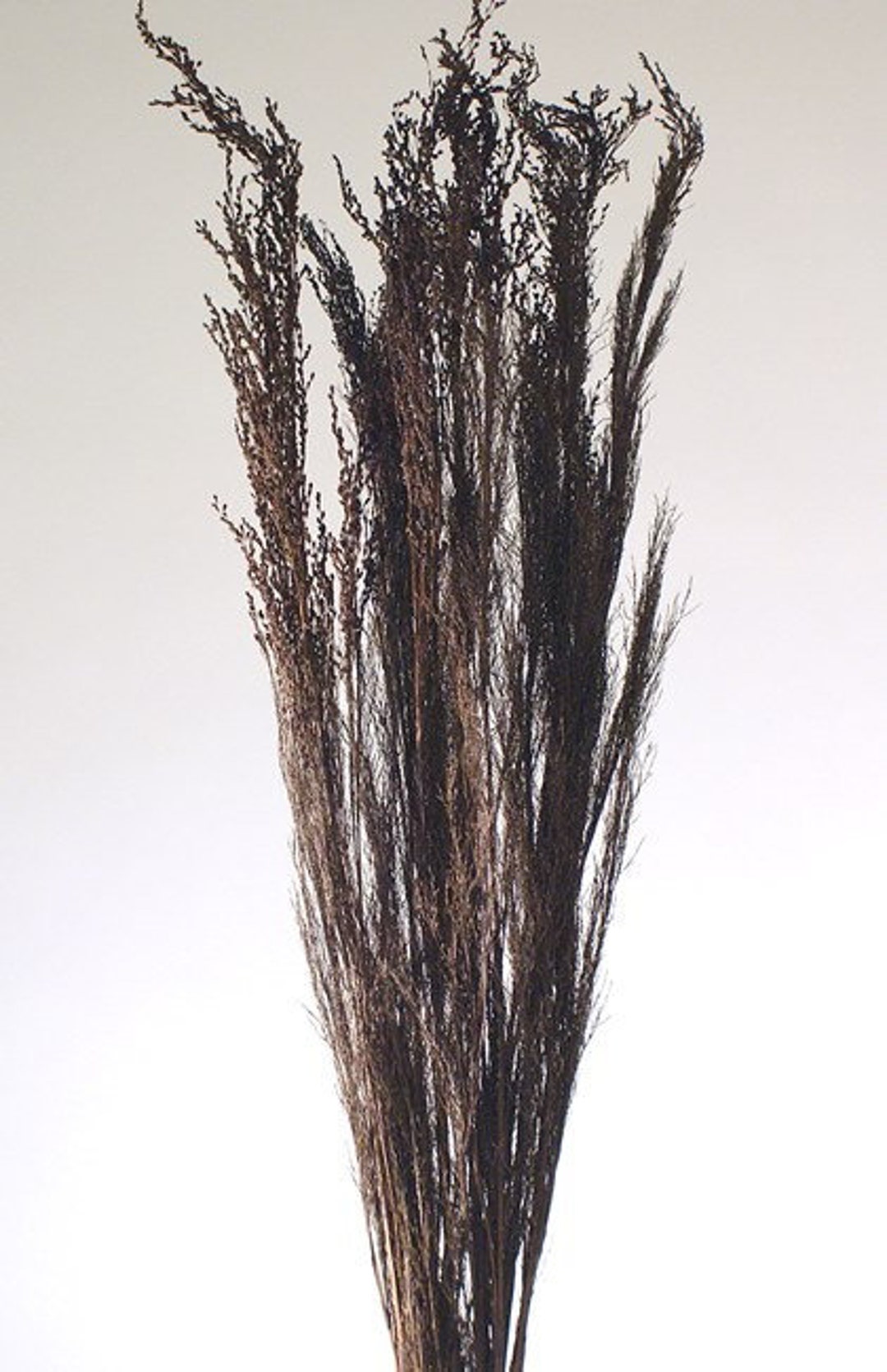 Brownorange Broom Reed Bunch Dried Floral Arrangement Broom - Etsy