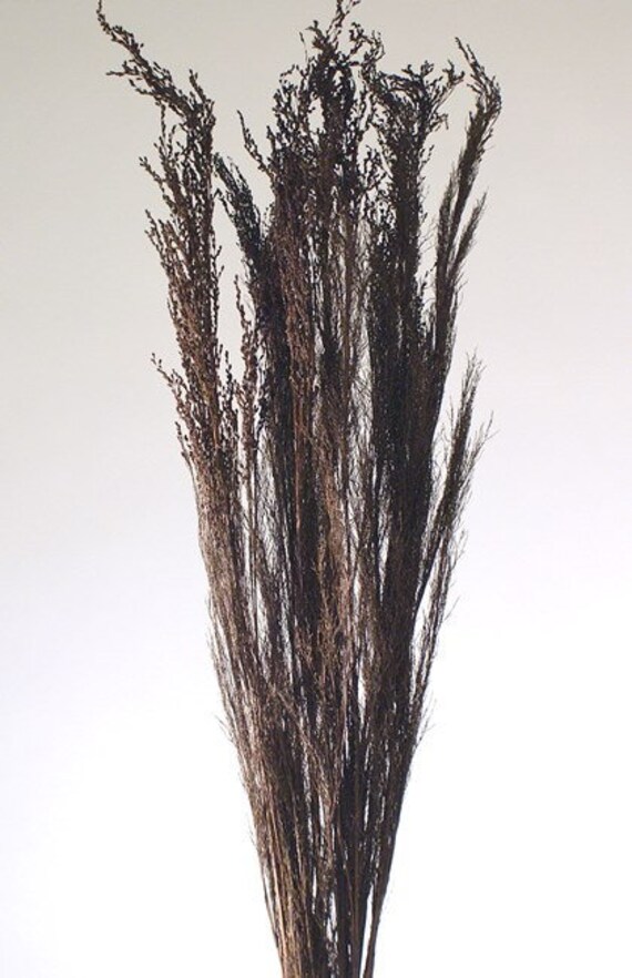 BrownOrange Broom Reed Bunch Dried Floral Arrangement Broom | Etsy