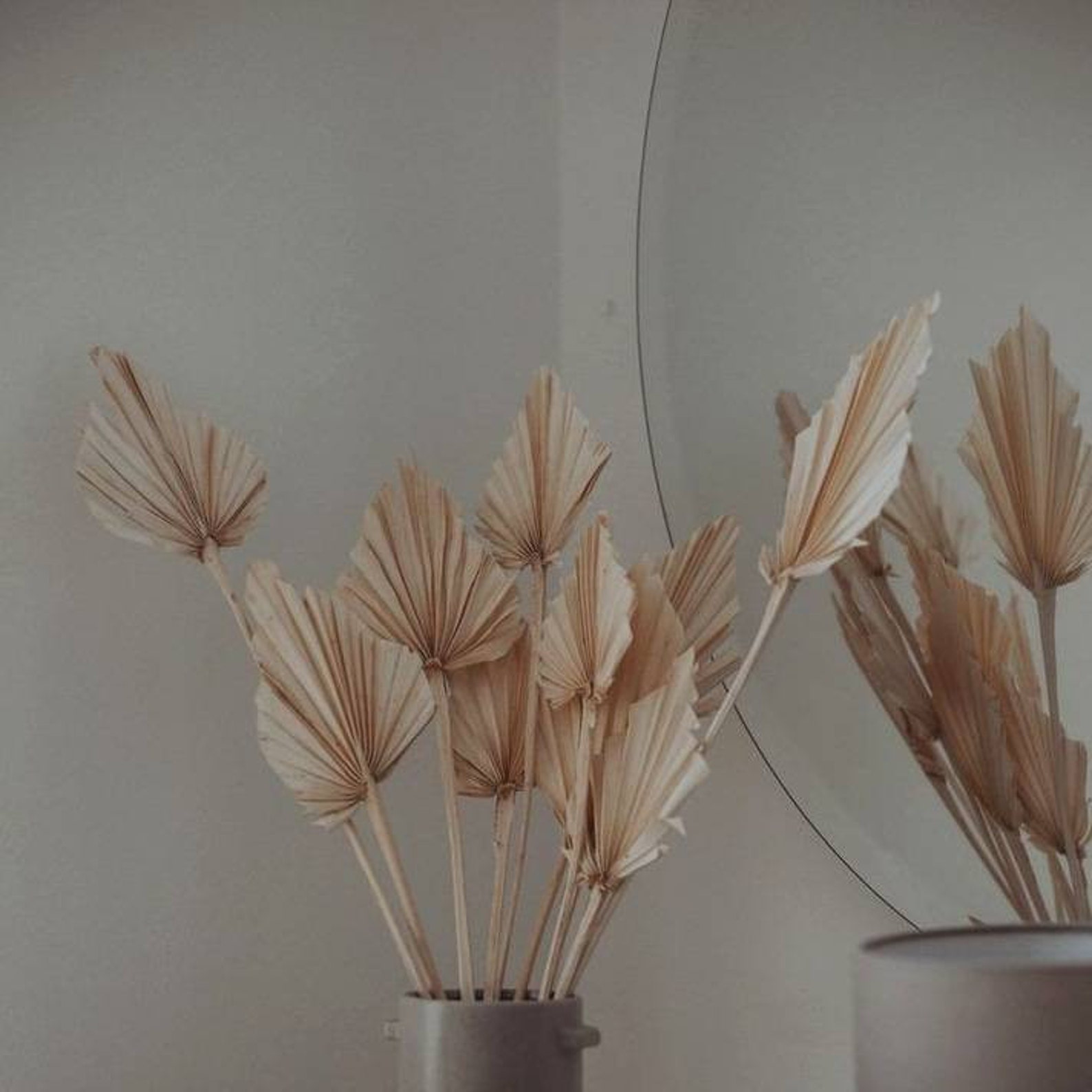 Gold Mini Palm Spear Stems Dried Palm Leaf Cake Topper Diy - Etsy