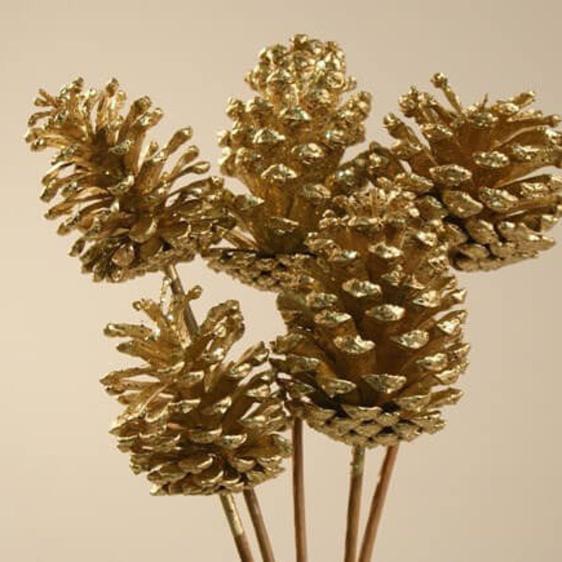 Pinecone Arrangement - Etsy