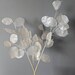 Lunaria Ivory Spray Faux/ DIY Floral Arrangement/silver Dollar/honesty ...