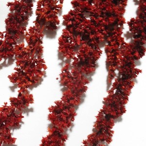 1pc Hanging Amaranthus/ 18-25" Trailing Amaranthus Floral/floral ...