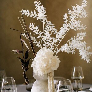 Off White Bleached Italian Ruscus Bunch Dried Floral Decor White Ruscus ...