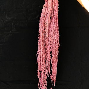 Preserved Pink Hanging Amaranthus 18-25 Trailing - Etsy Canada