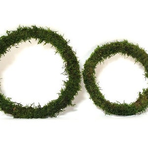 Moss Ring Wreath | DIY Decor Wreath| Enchanted Decor|hanging Greenw ...