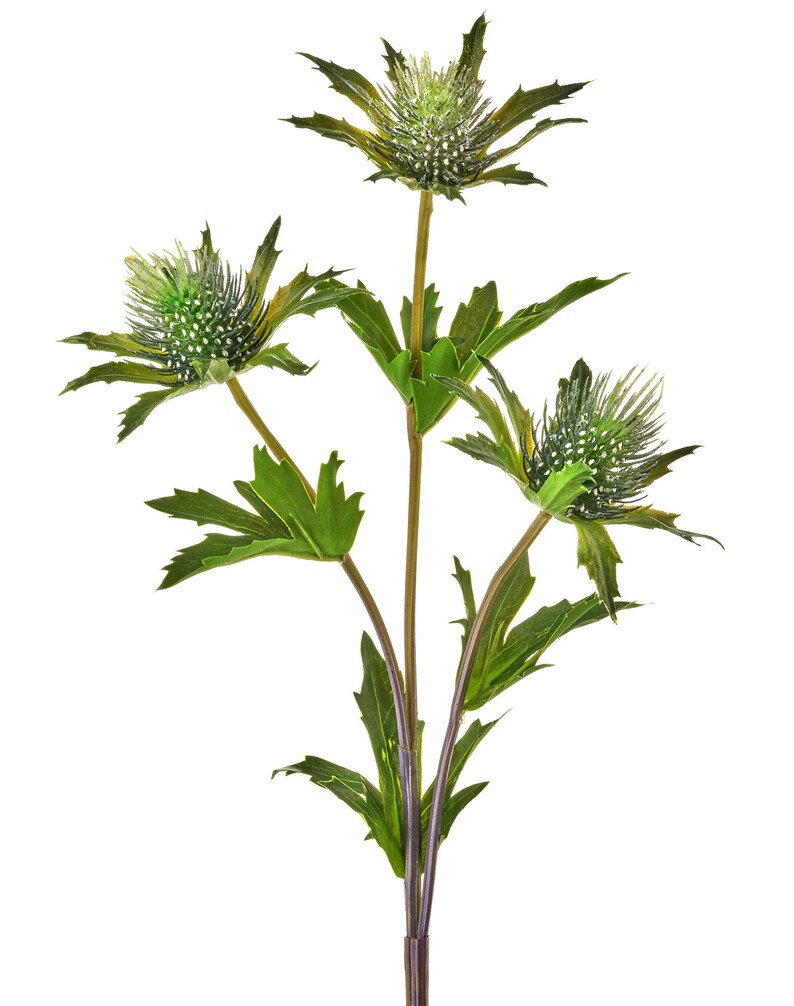 Blue Thistle Spike Bush Spray/dried Floral Decor/home - Etsy