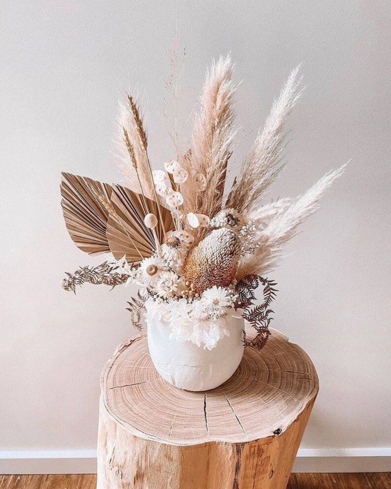 6/12/60pc Mini White Pampas Grass/ Dried Floral/ Dried Reed - Etsy