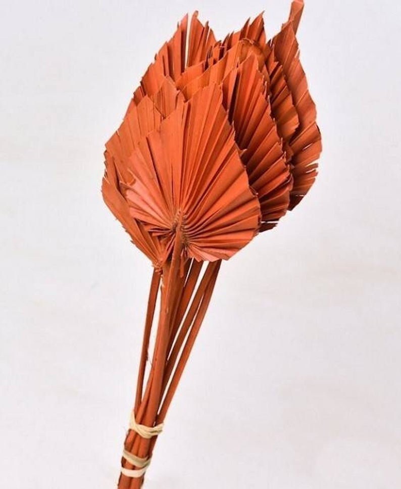 Gold Mini Palm Spear Stems Dried Palm Leaf Cake Topper Diy - Etsy