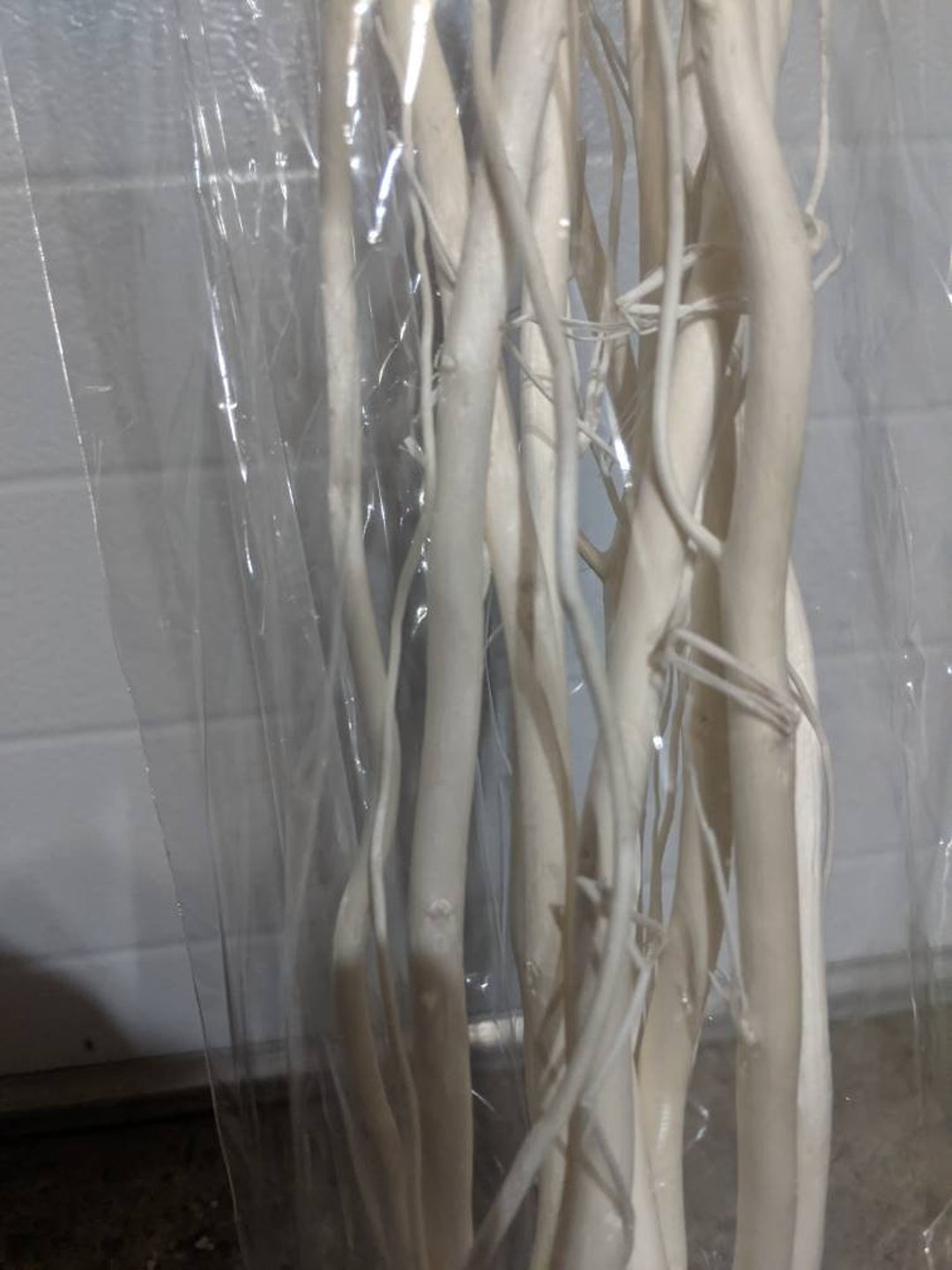 Off White Curly Willow Branches | Decorative Branch Bundle | Vase ...