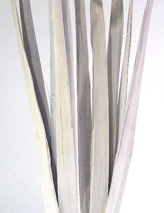 3ft Tall White Washed Cacho Palm Grass Leaves Bundle/faux | Etsy
