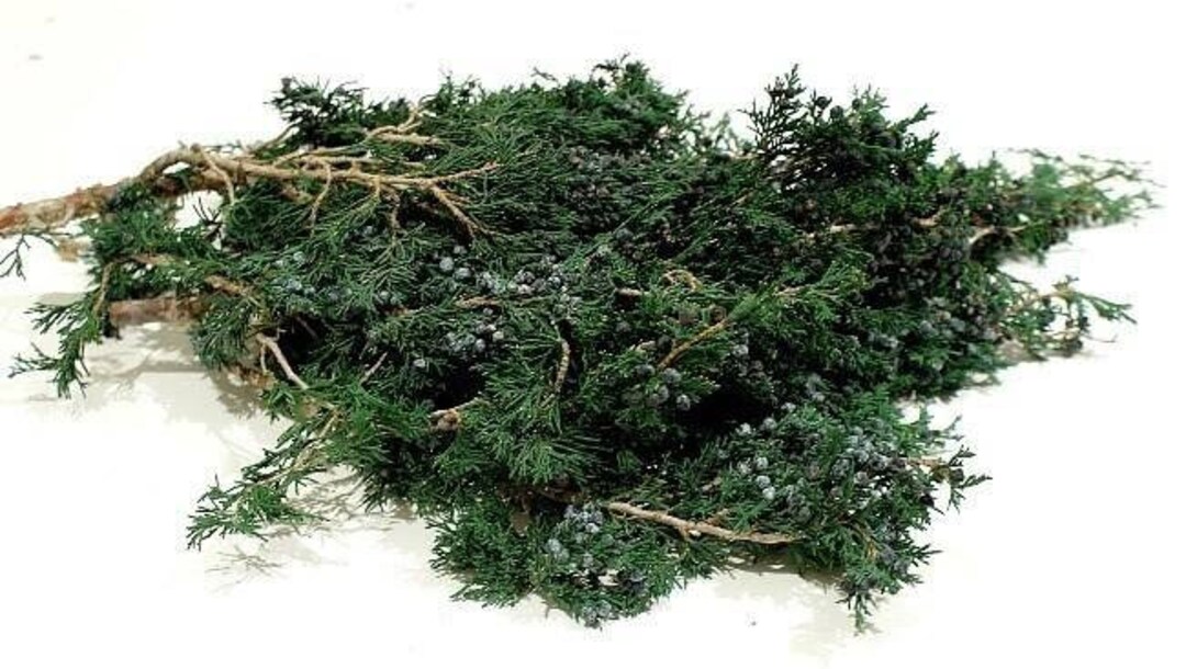 Dark Green Natural Preserved Juniper Branches |natural Christmas Decor ...