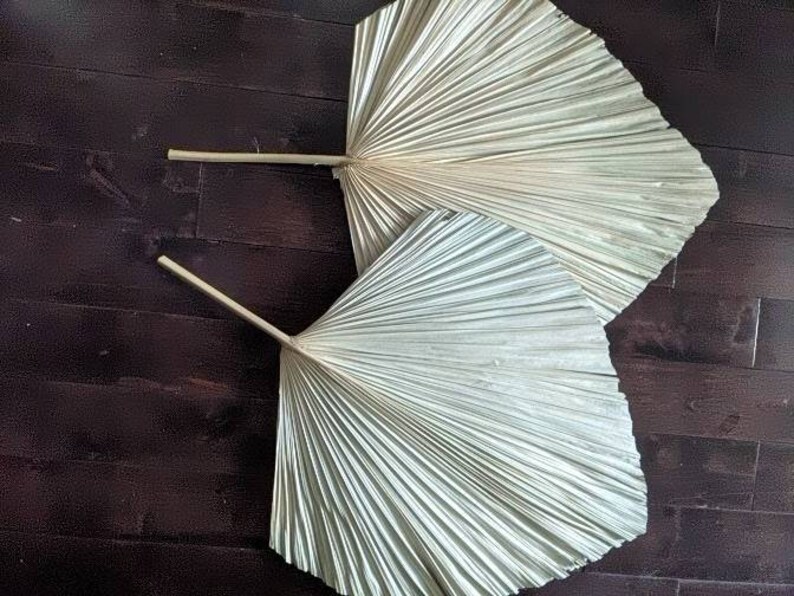 Large Natural Anahaw Palm Leaf 1.5ft Tall Fried Fan | Etsy