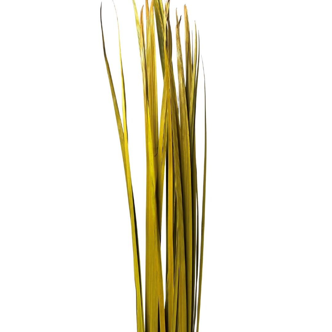 6ft EXTRA Tall Green Cacho Grass Bundle/dried Grass/dried Palm Leaves ...