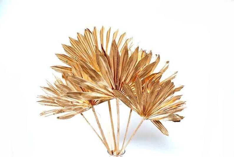 Gold Mini Palm Spear Stems Dried Palm Leaf Cake Topper Diy - Etsy