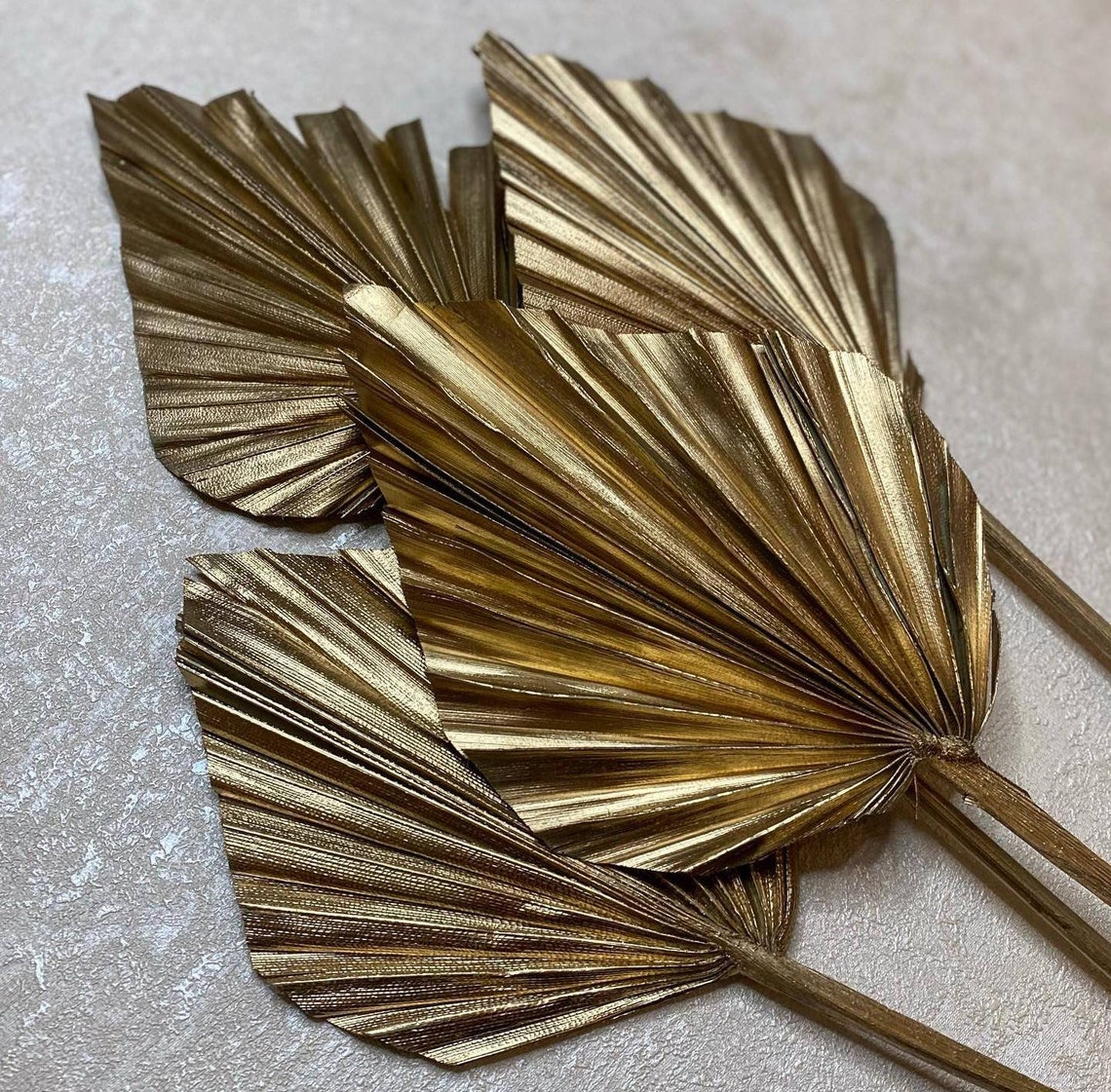 Gold Mini Palm Spears Silver Palm Spears Dried Palm Leaf | Etsy