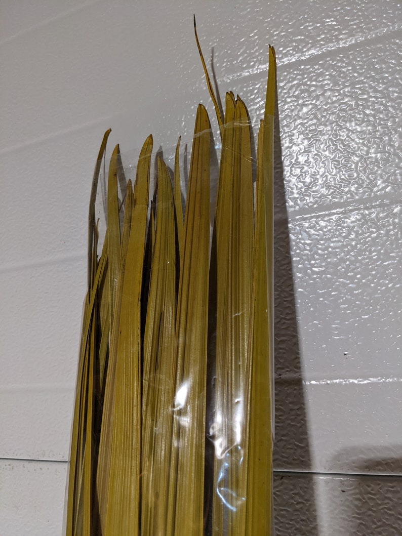 6ft EXTRA Tall Green Cacho Grass Bundle/dried Grass/dried Palm - Etsy