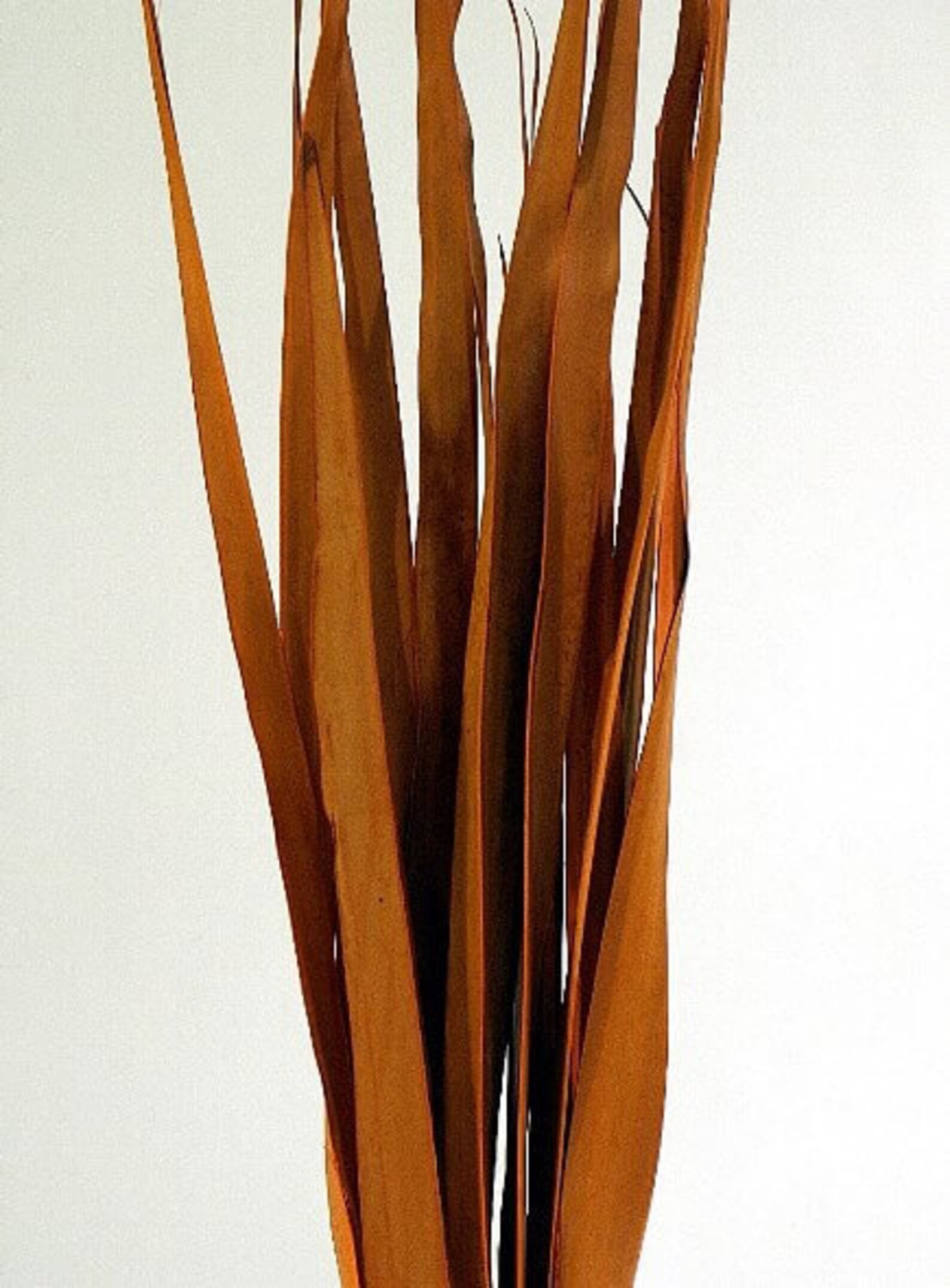 Tall Rustic Orange Cacho Dried Palm Grass/Palm Leaf | Etsy