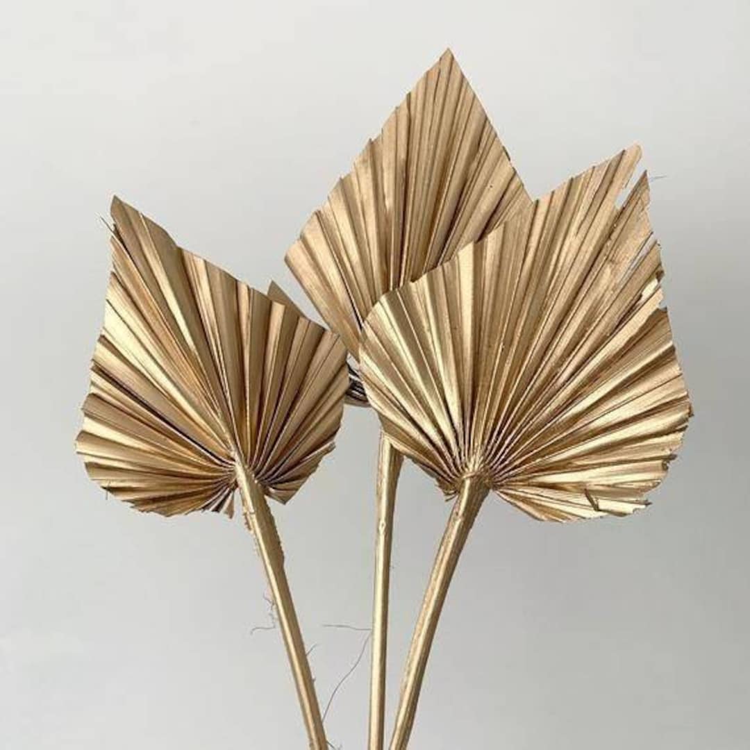 Gold Mini Palm Spear Stems Dried Palm Leaf Cake Topper Diy Centerpiece ...