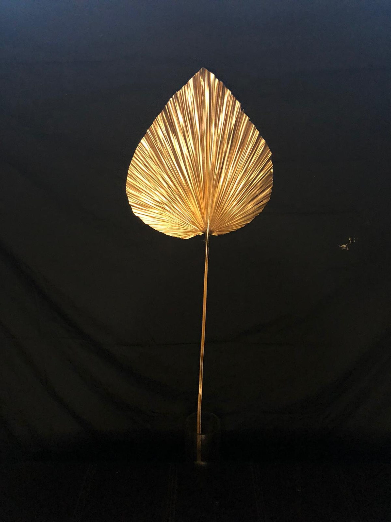 1pc/3pc Xlarge GOLD Anahaw Stem 4ft Tall Fan Leaf/gold Dried - Etsy