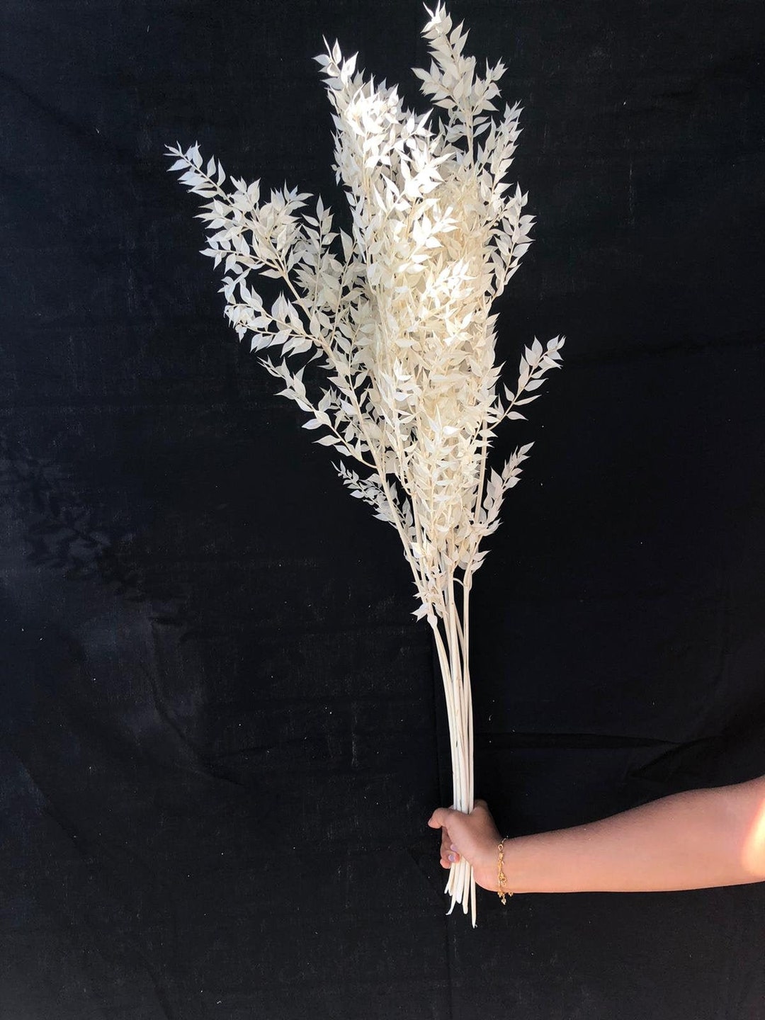 White Bleached Ruscus Bunch | Dried Floral Decor| White Bleached Ruscus ...