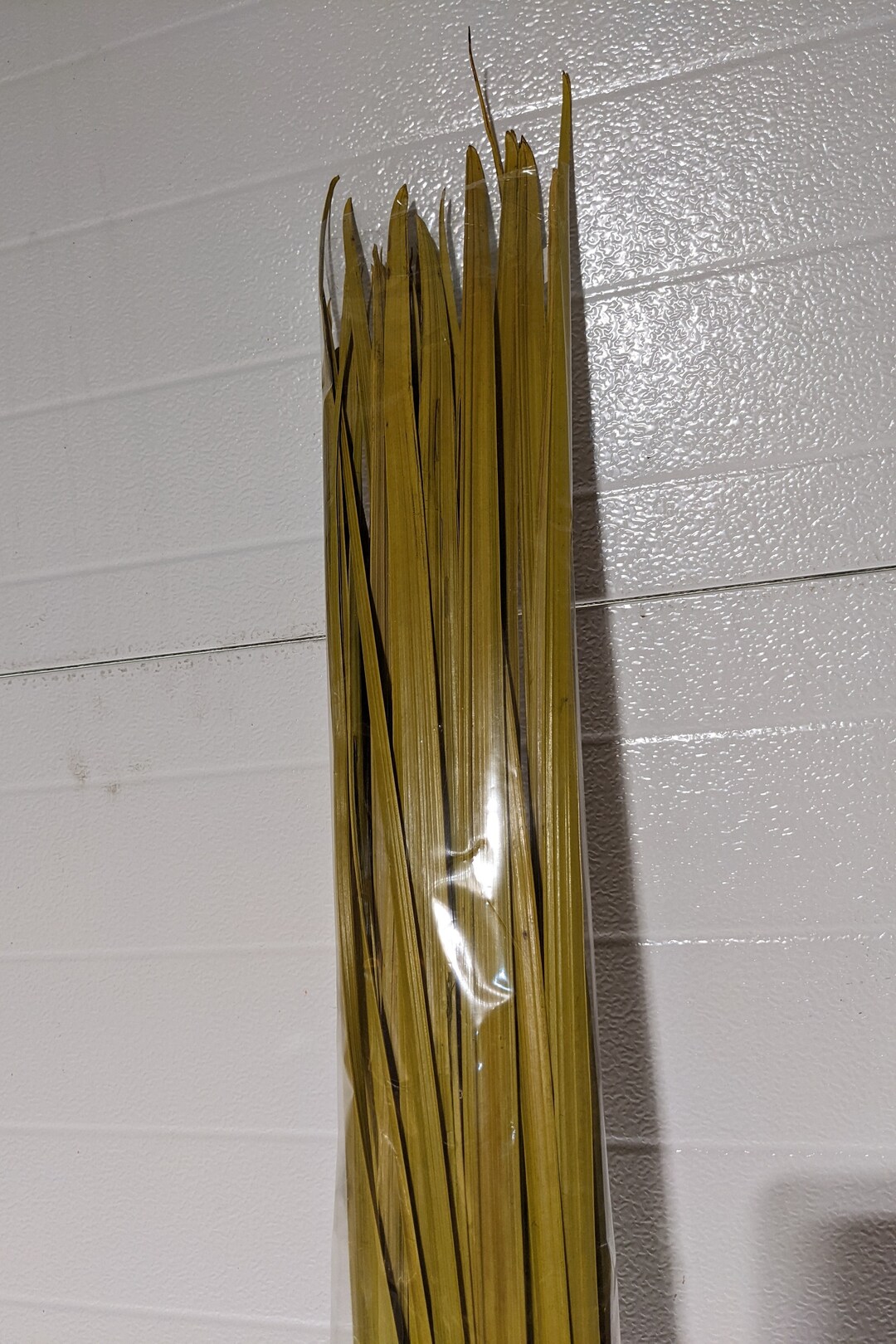 6ft EXTRA Tall Green Cacho Grass Bundle/dried Grass/dried Palm Leaves ...