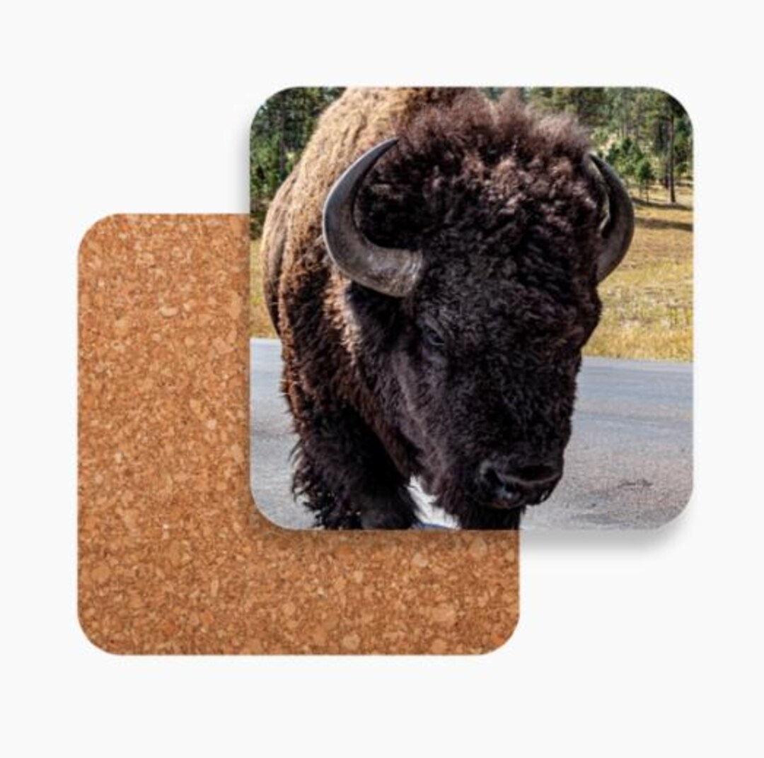 Bison Coaster Set (4) – Custer State Park Buffalo Photography | Rustic ...