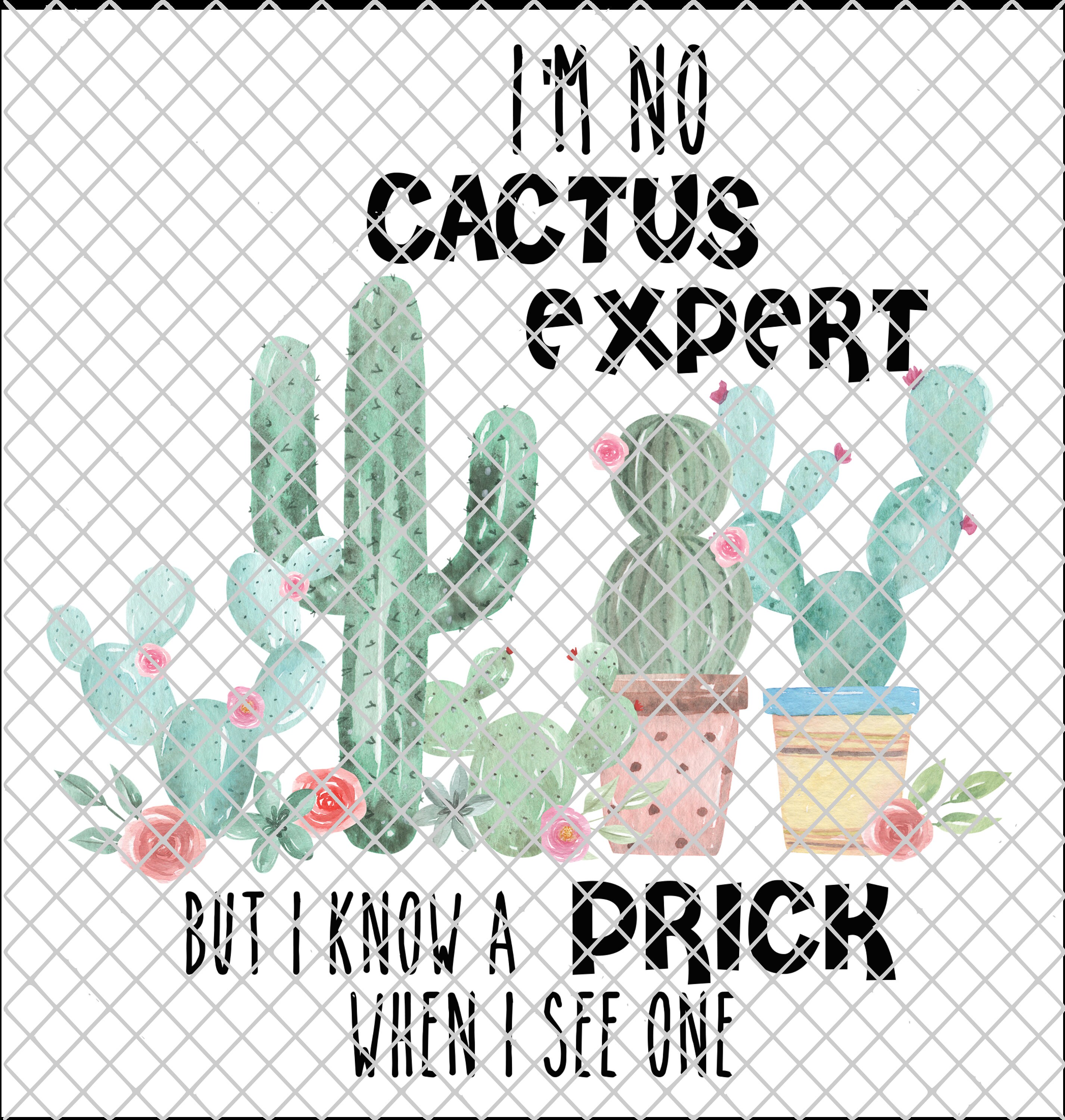 I'm No Cactus Expert But I know a Prick When I See One | Etsy