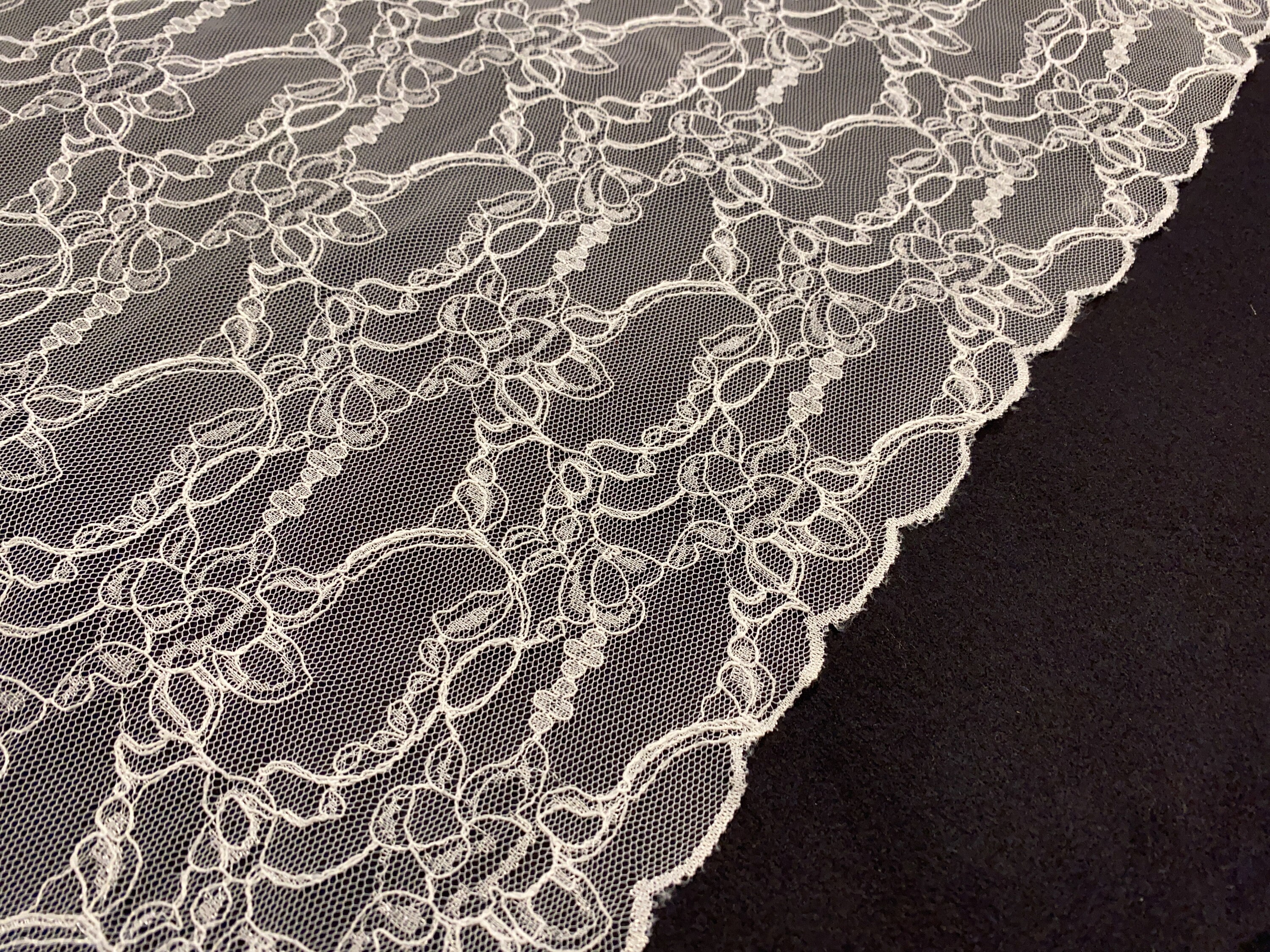 Double Scalloped Embroidered IVORY Micro Stretch/powermesh Nylon Mesh ...