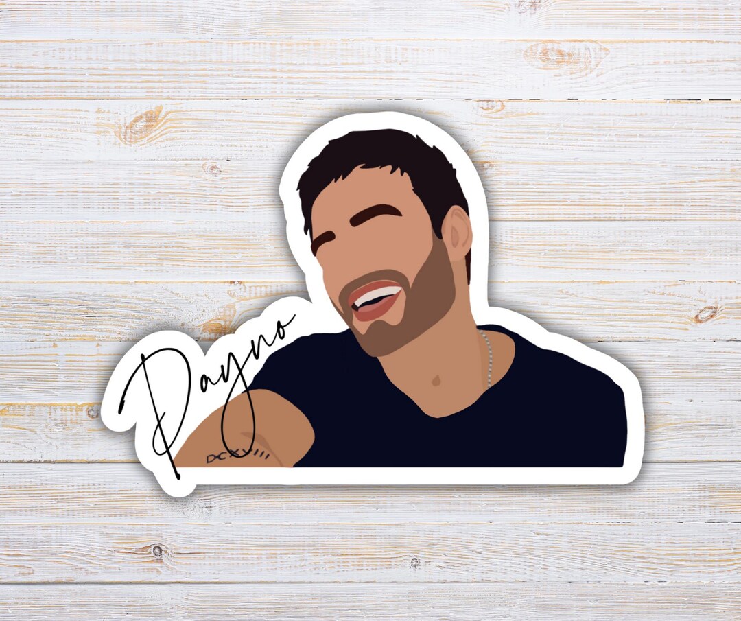 Liam Payne "payno" Sticker - Beveled Tribute to the One Direction Star ...