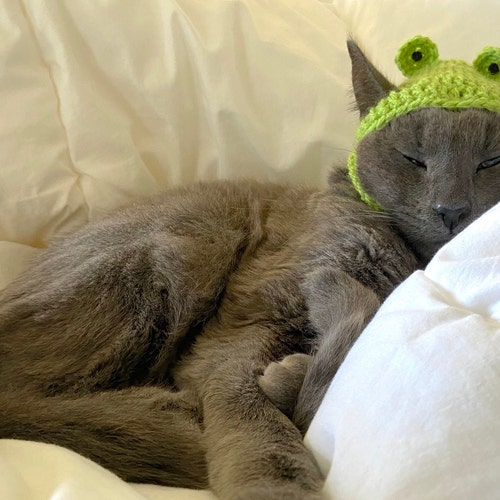 Cat Frog Hat Available for All Pets Dog / Cat / Pet Hat - Etsy