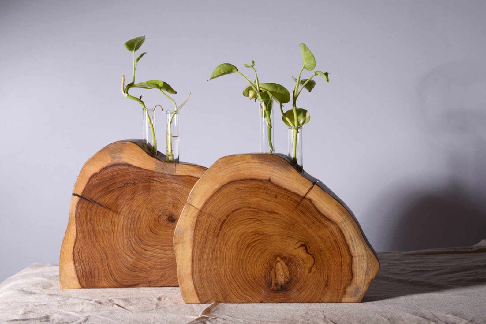 Pure Teak Wood Planter Desk Planter Planter With Test Tube - Etsy