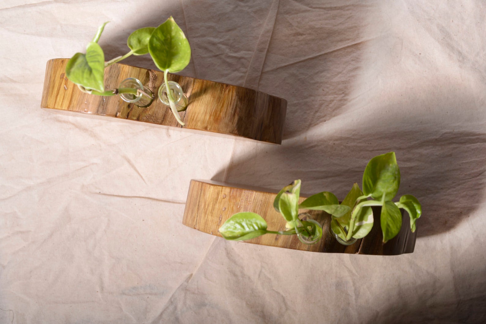 Pure Teak Wood Planter Desk Planter Planter With Test Tube - Etsy