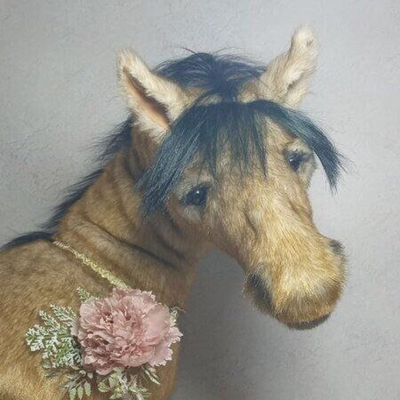 Cute Horse Plushies - Etsy