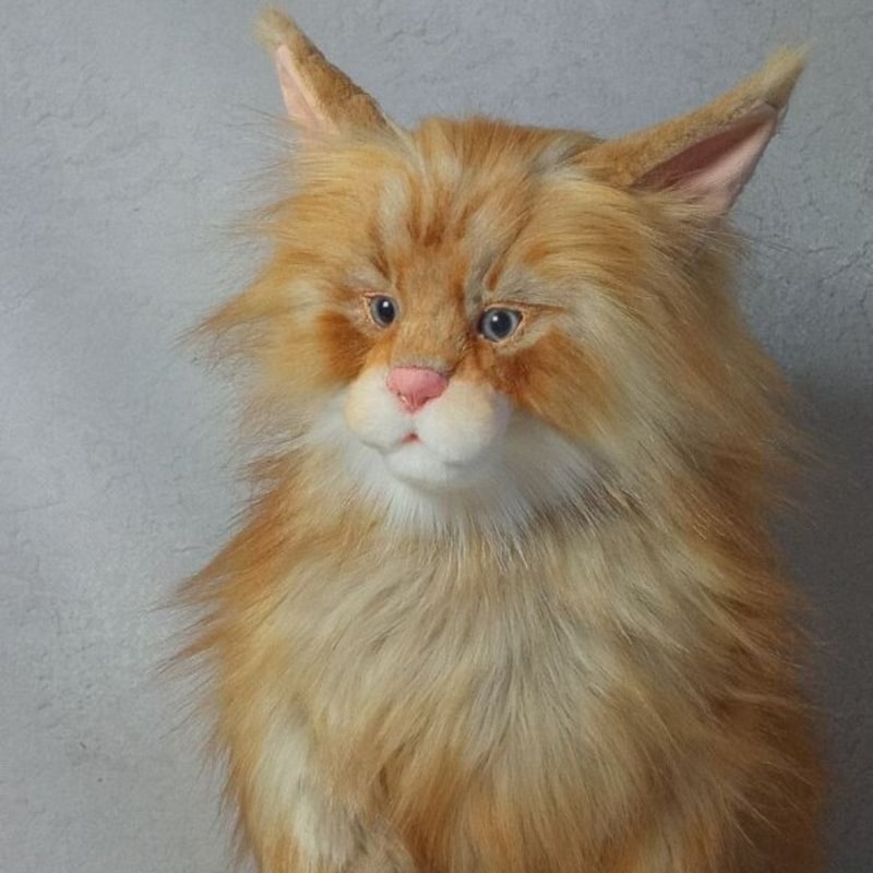 Realistic Stuffed Cat - Etsy