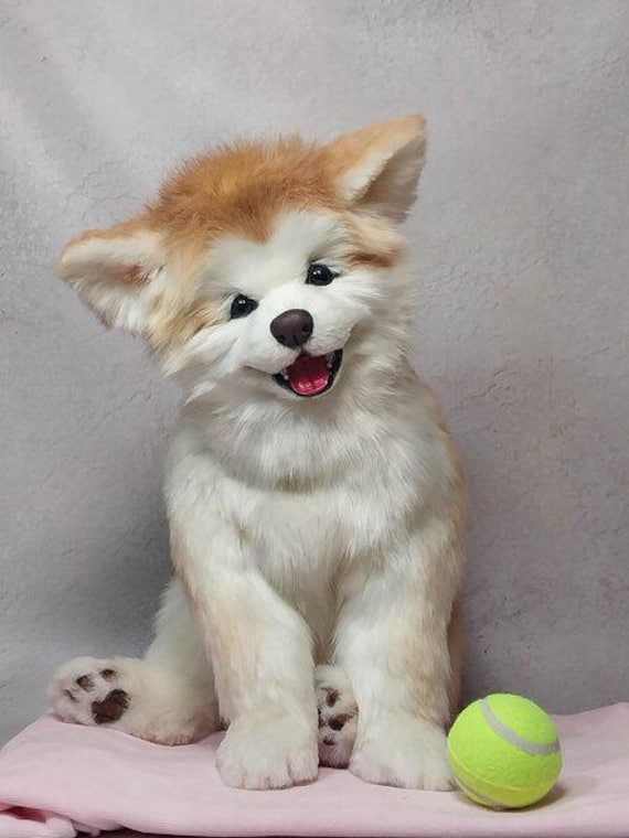 Akita inu plush store