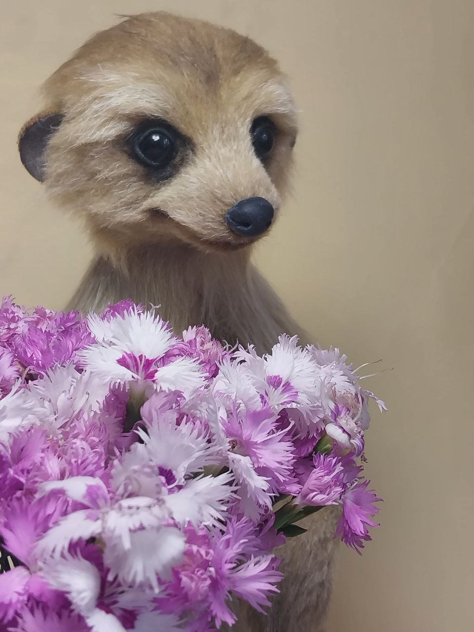 Meerkat Cub Realistic Toy OOAK Artificial Stuffed Animal Cute Mongoose ...