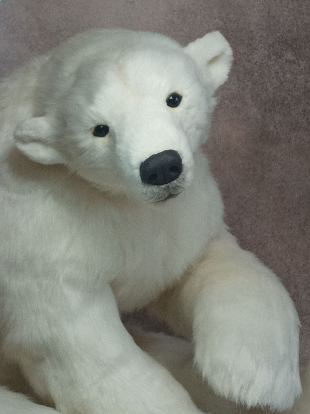 Realistic Polar Bear Artificial Stuffed Animal Soft Sculpture Pet OOAK ...