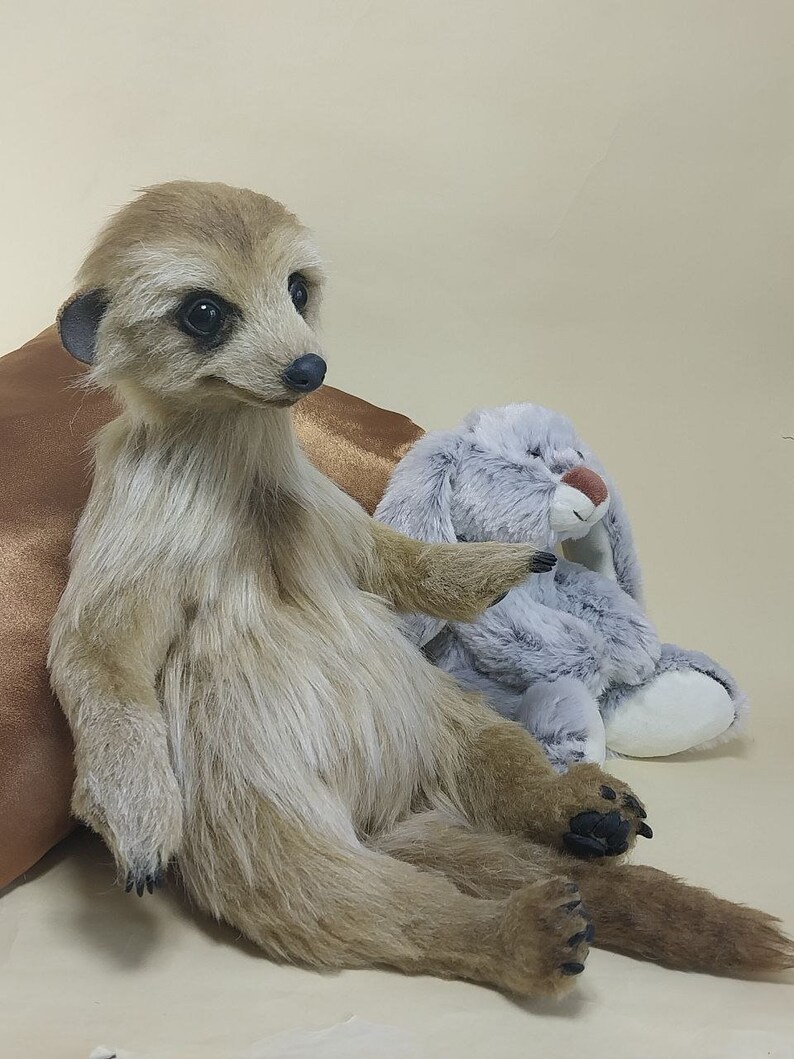 Meerkat Cub Realistic Toy OOAK Artificial Stuffed Animal Cute Mongoose ...