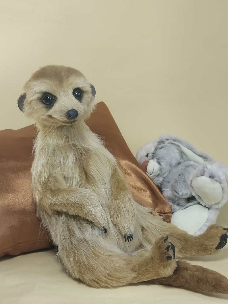 Meerkat Cub Realistic Toy OOAK Artificial Stuffed Animal Cute Mongoose ...