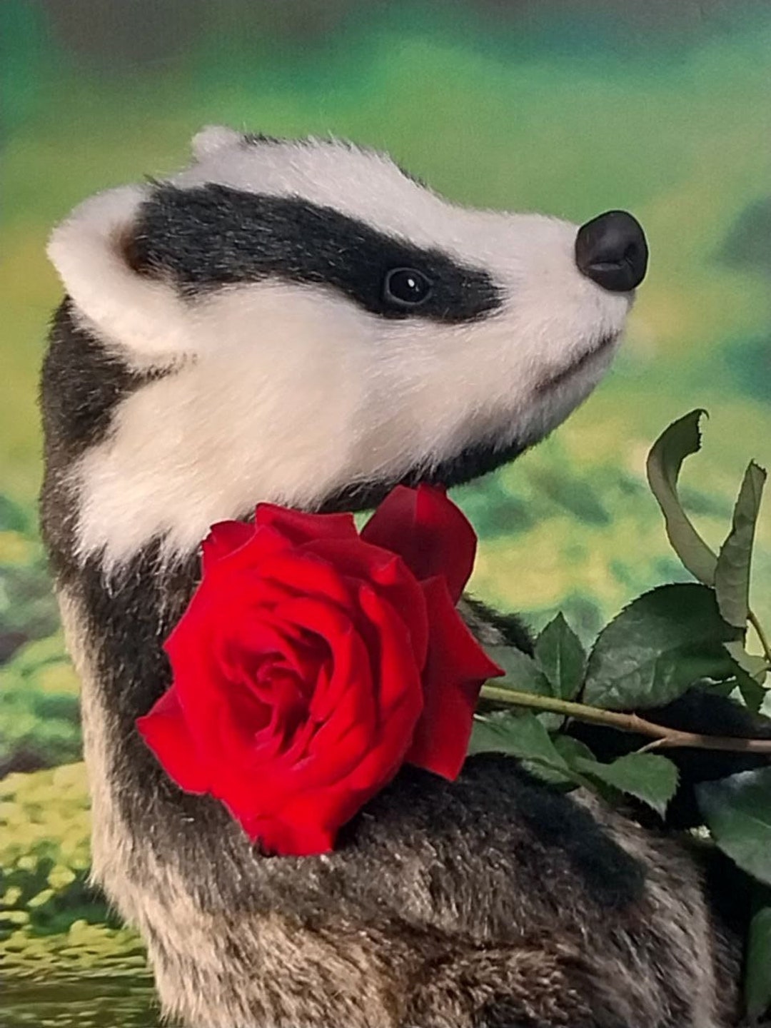 OOAK Realistic Badger Cub Artificial Stuffed Animal Cute Wild Exotic ...