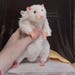 Miniature Rat Realistic Toy OOAK Artificial Stuffed Animal Mouse Toy ...