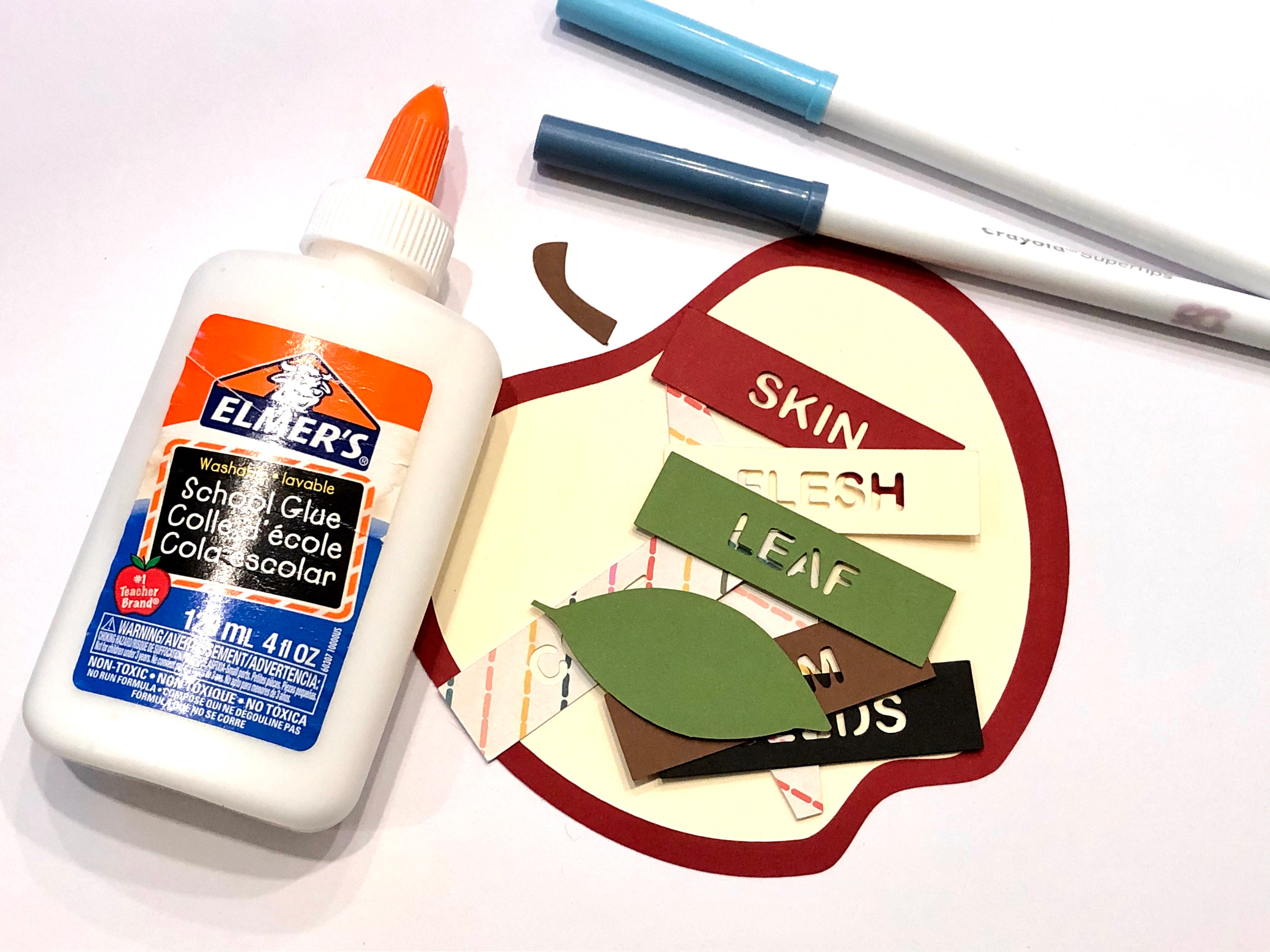 Parts of an Apple Apple Anatomy SVG Felt Board Template a - Etsy Australia