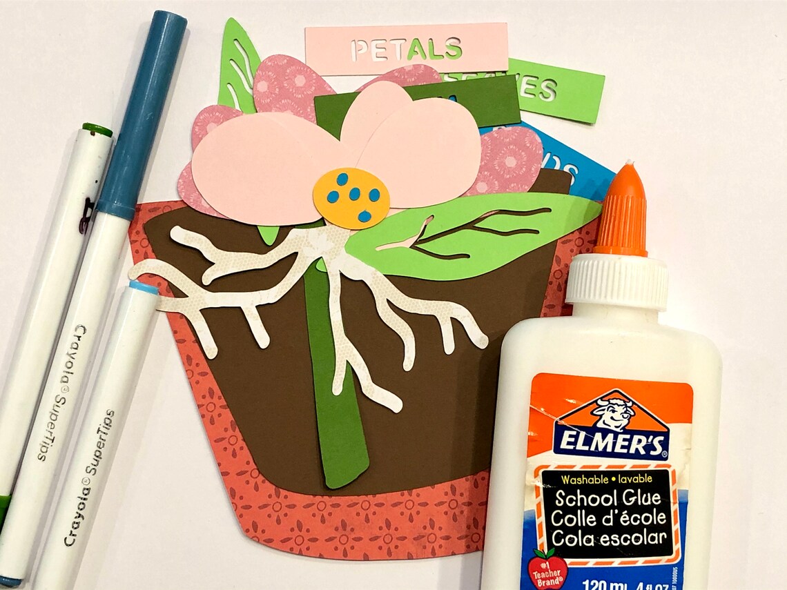 Parts of a Flower - Flower Anatomy Kids Activity SVG- Paper Craft ...