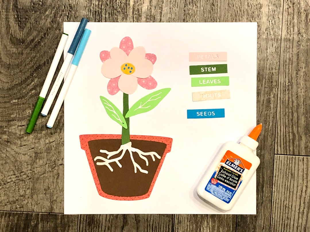 Parts of a Flower - Flower Anatomy Kids Activity SVG- Paper Craft ...