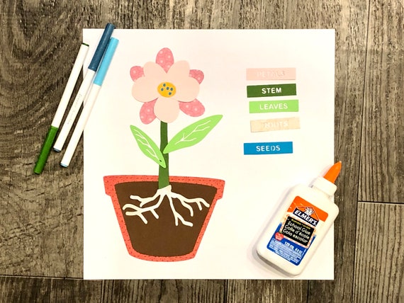 Parts Of A Flower Craft For Kids